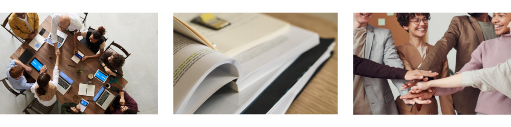 ELI Development Services